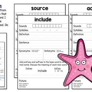 Invertebrates Literacy Activities for A Week, Reading Writing and More ...