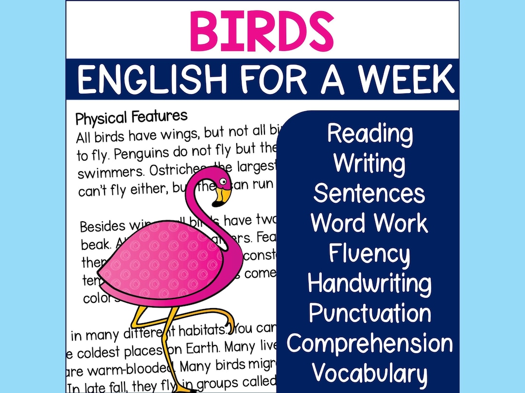 Birds Literacy Activities for A Week for 2nd Grade and 3rd Grade ...