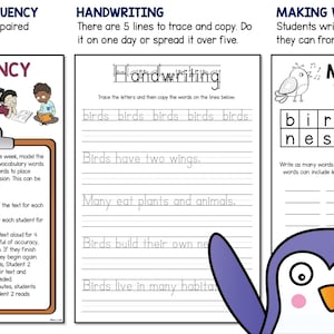 Birds Literacy Activities for A Week for 2nd Grade and 3rd Grade ...