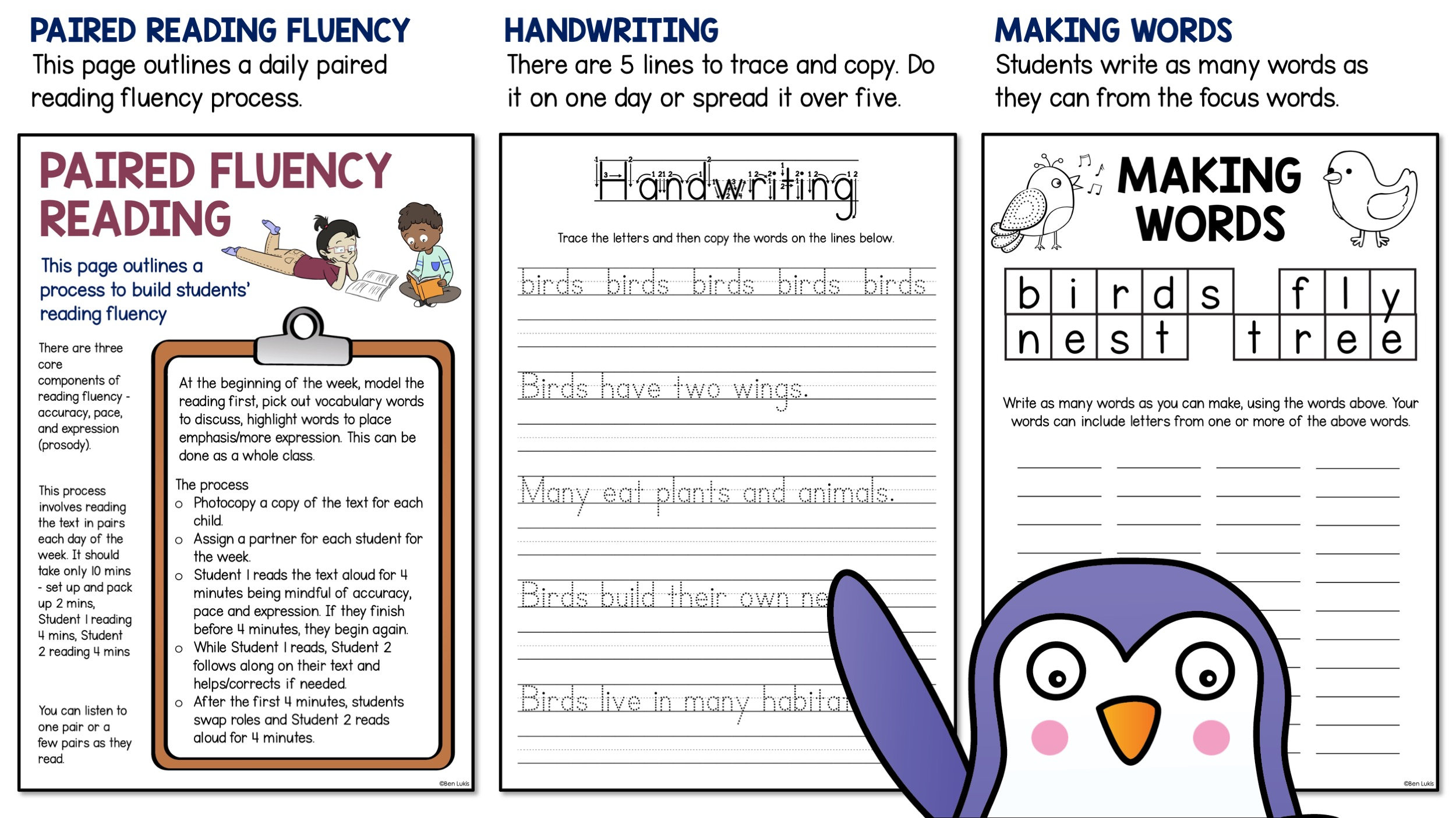 Birds Literacy Activities for A Week for 2nd Grade and 3rd Grade ...
