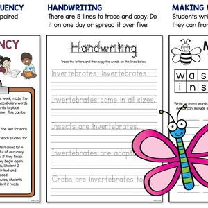 Invertebrates Literacy Activities for A Week, Reading Writing and More ...