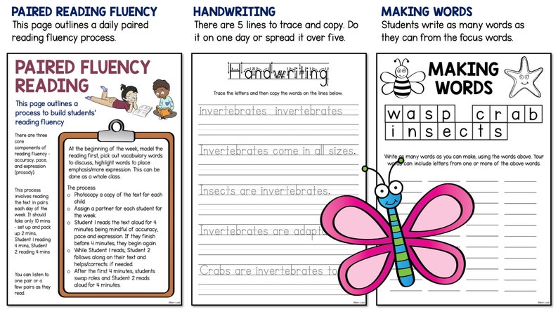 Invertebrates Literacy Activities for A Week Reading Writing - Etsy