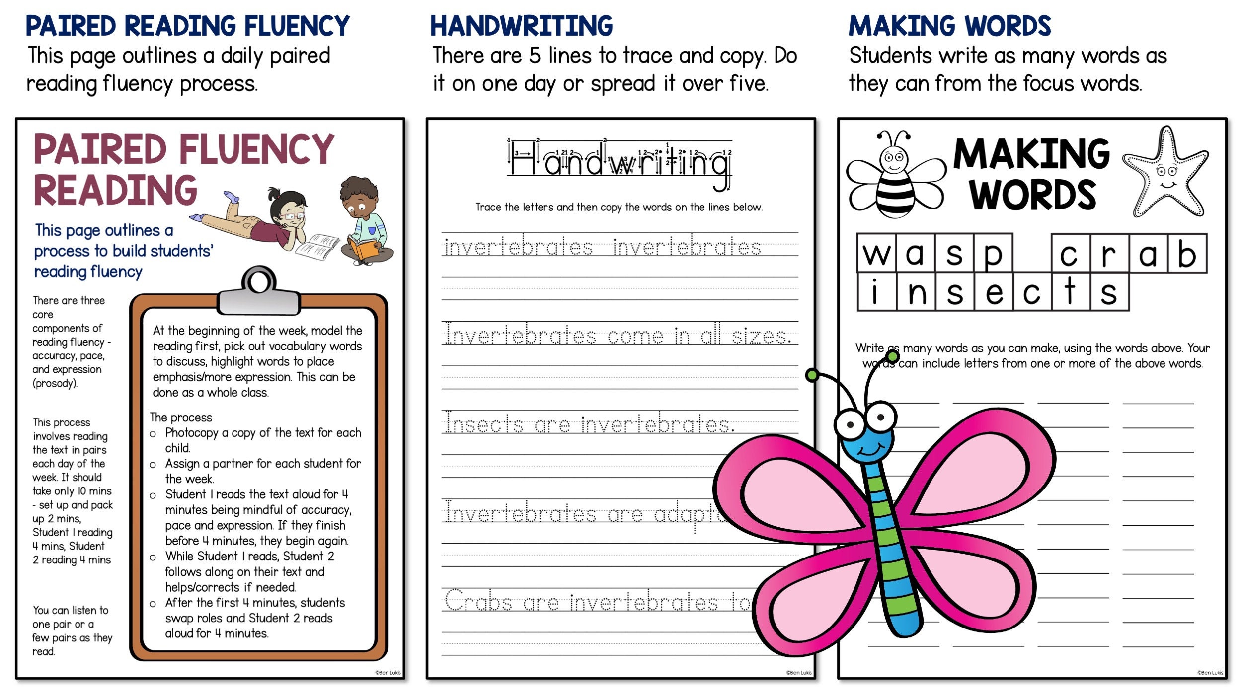 Invertebrates Literacy Activities for A Week, Reading Writing and More ...