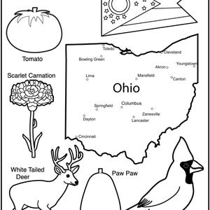 50 USA States Coloring Pages, US State Symbols and Flags, School ...