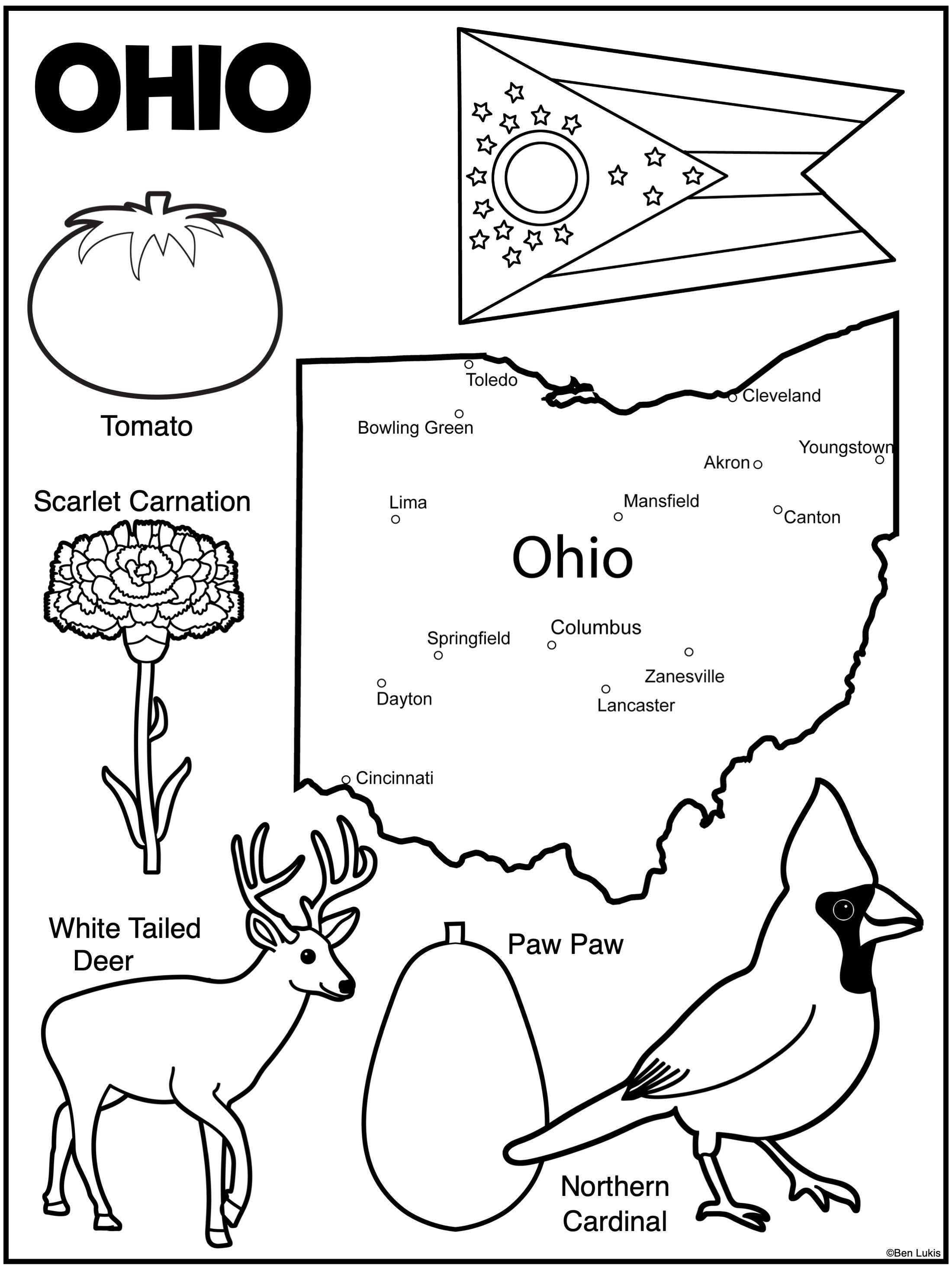 50 USA States Coloring Pages, US State Symbols and Flags, School ...