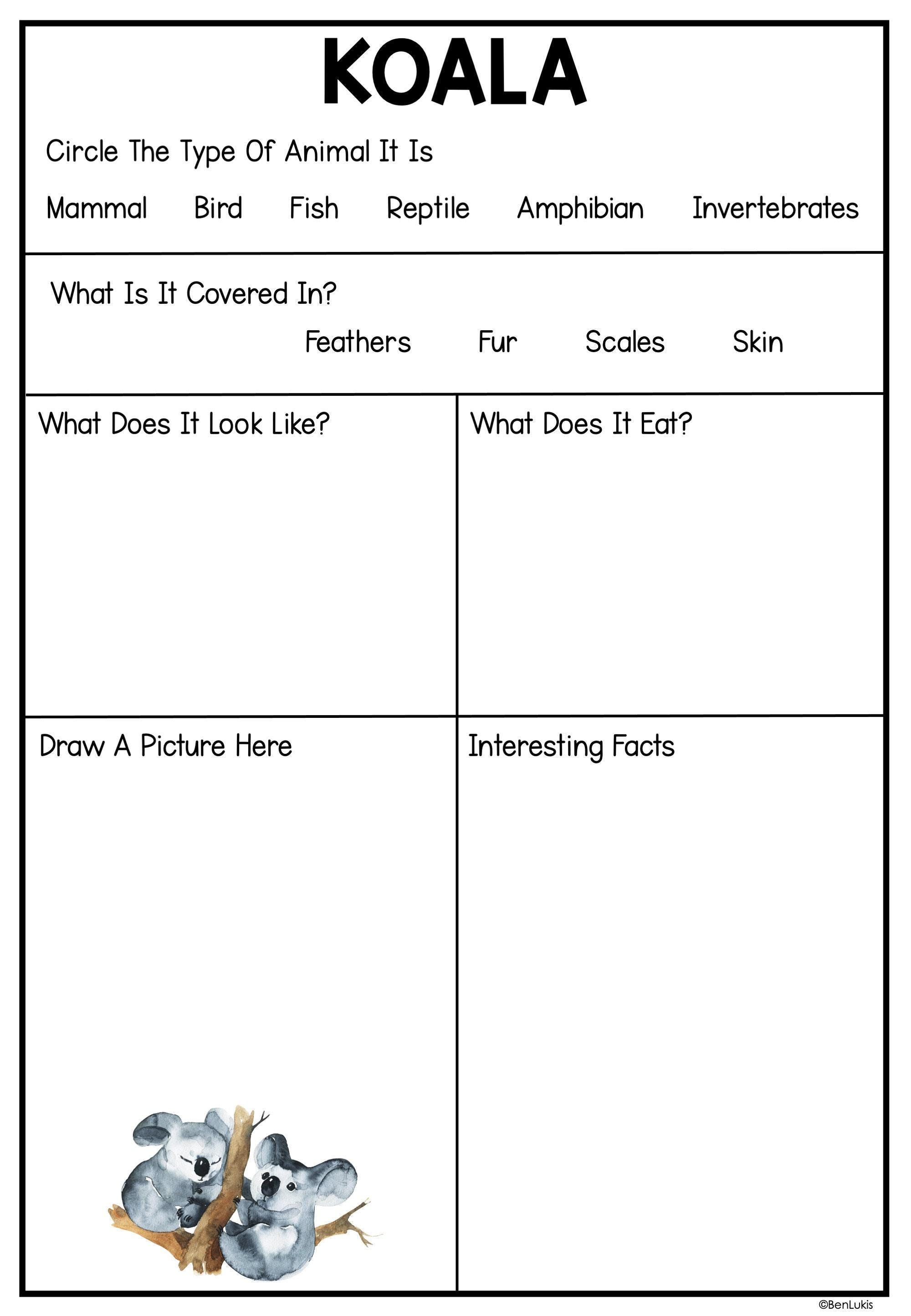 Australian Animal Research Report Templates, Wildlife Fact Worksheets ...