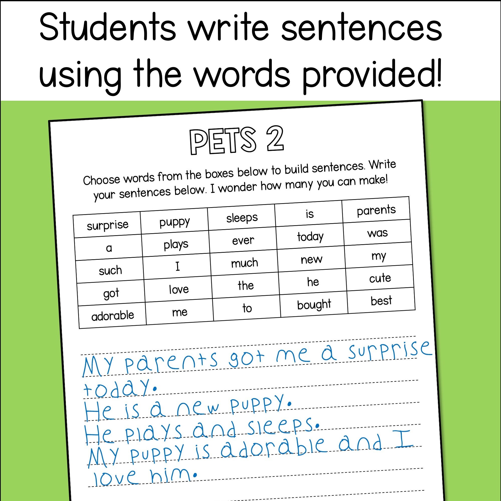Building Sentences Using Words, Writing Sentences About Pets, Printable ...