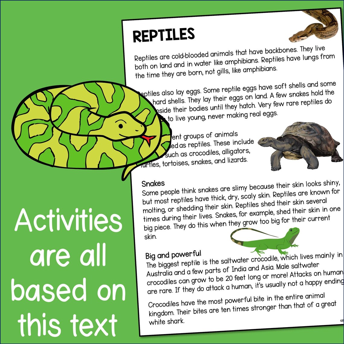 Reptile Literacy Activities for a Week About a Reptiles Information ...