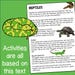 Reptile Literacy Activities for a Week About a Reptiles Information ...