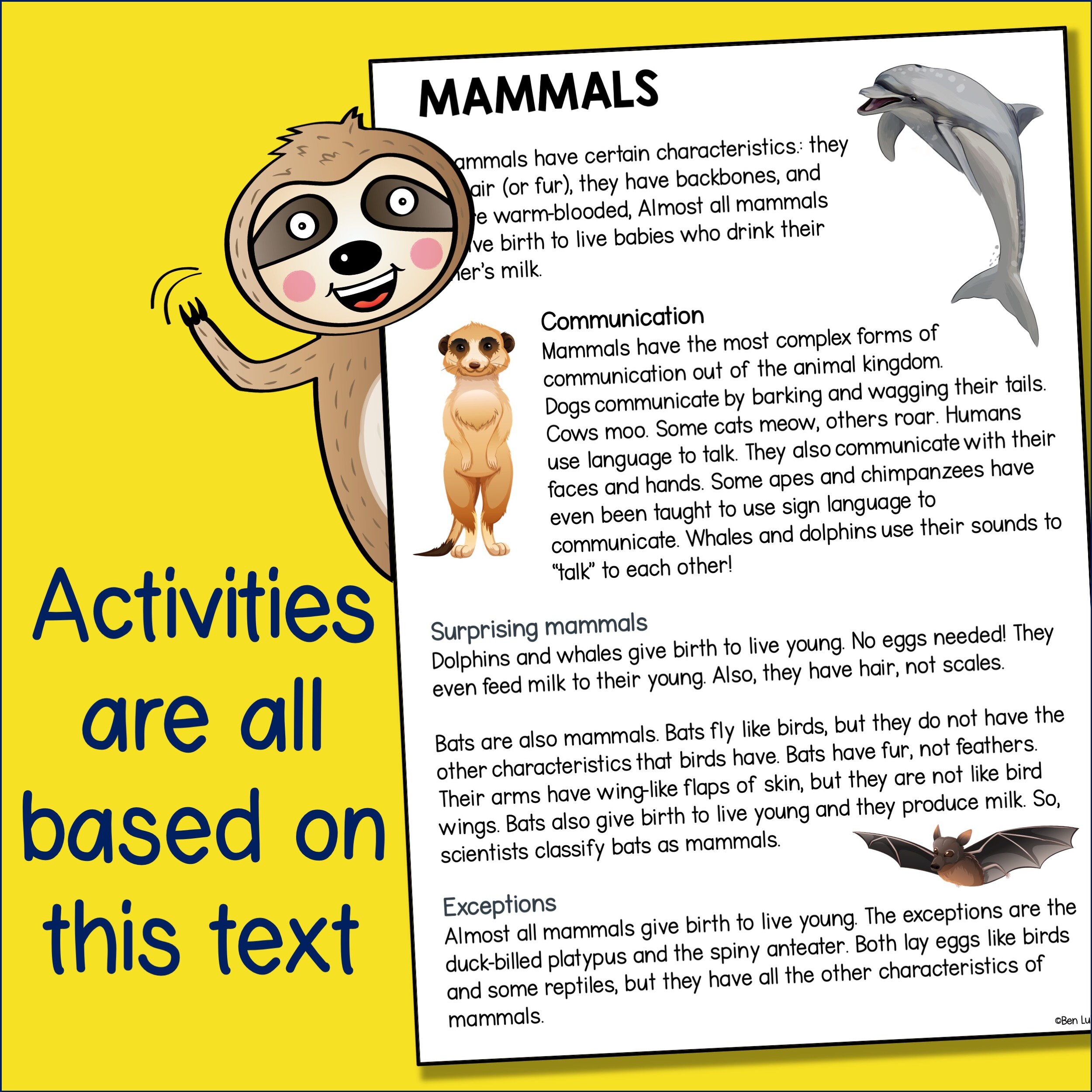 Mammals Literacy Activities, Reading and Writing About Mammals, 2nd ...