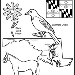 50 USA States Coloring Pages, US State Symbols and Flags, School ...