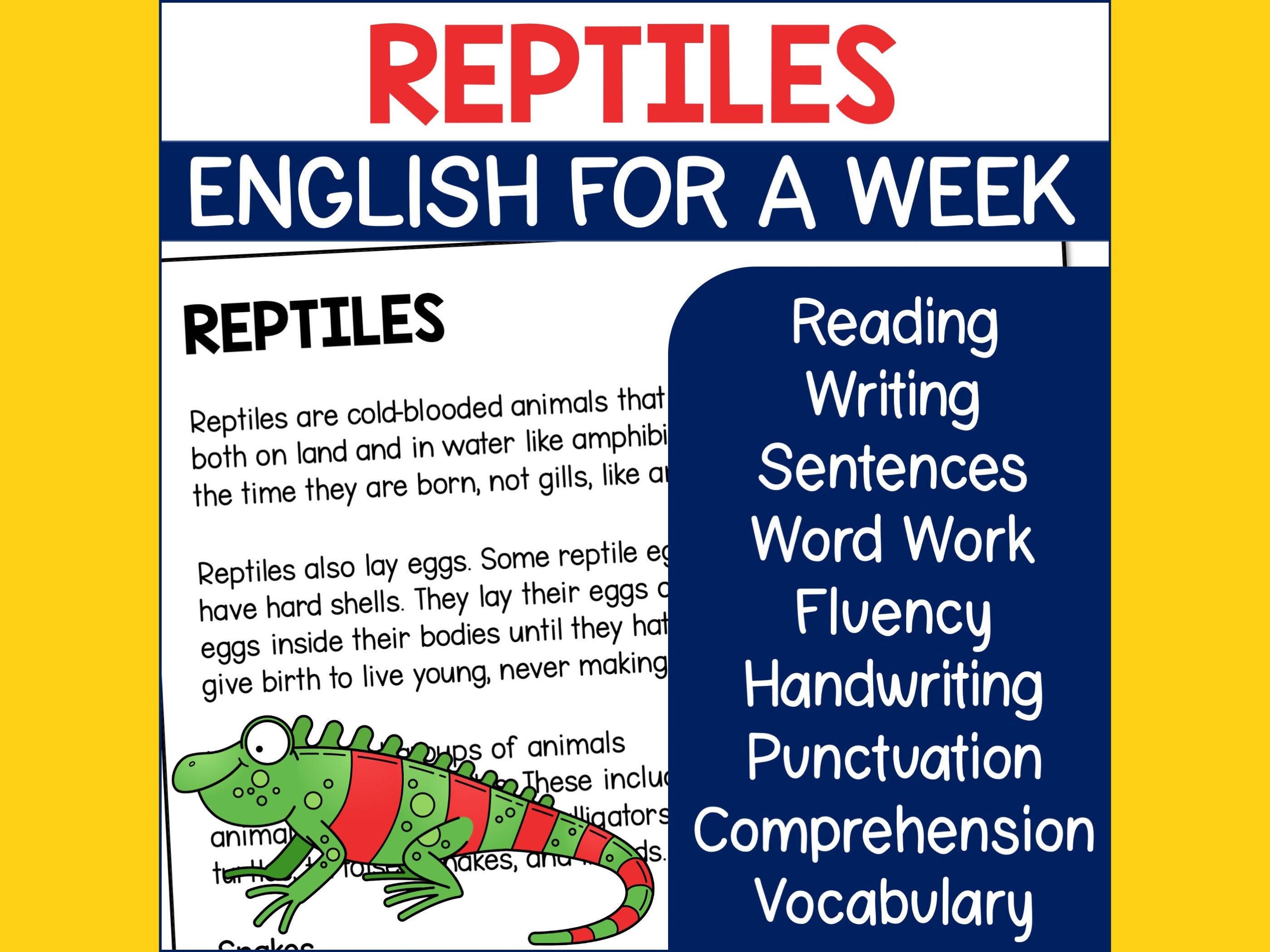 Reptile Literacy Activities for a Week About a Reptiles Information ...