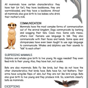 Educational Escape Room Game, Printable Mammals Themed Activity, Kids ...