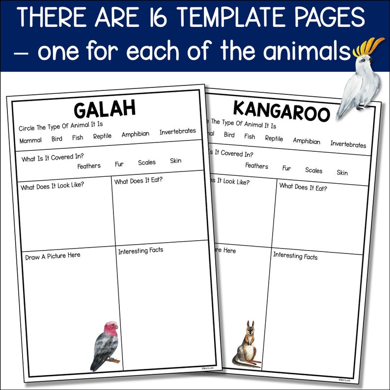 Australian Animals Research Report Templates for Kids, Printable PDF ...