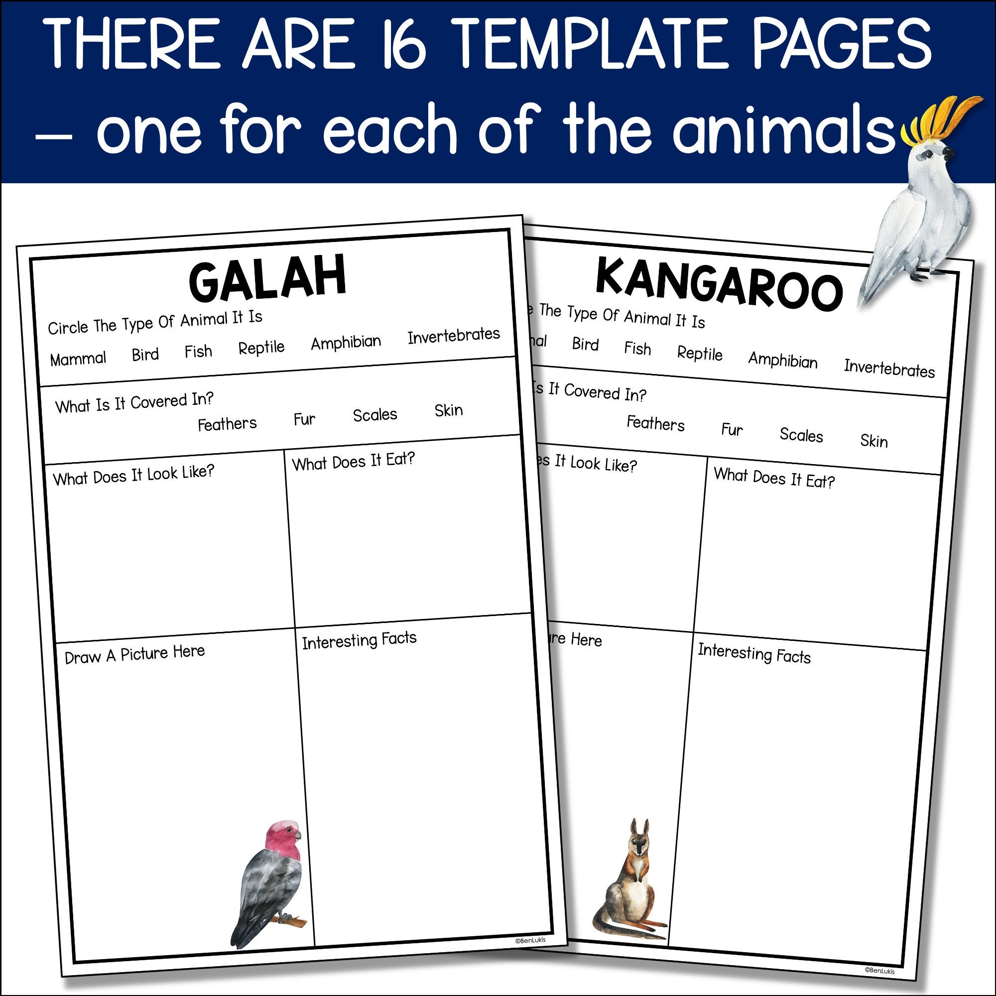Australian Animals Research Report Templates for Kids, Printable PDF ...