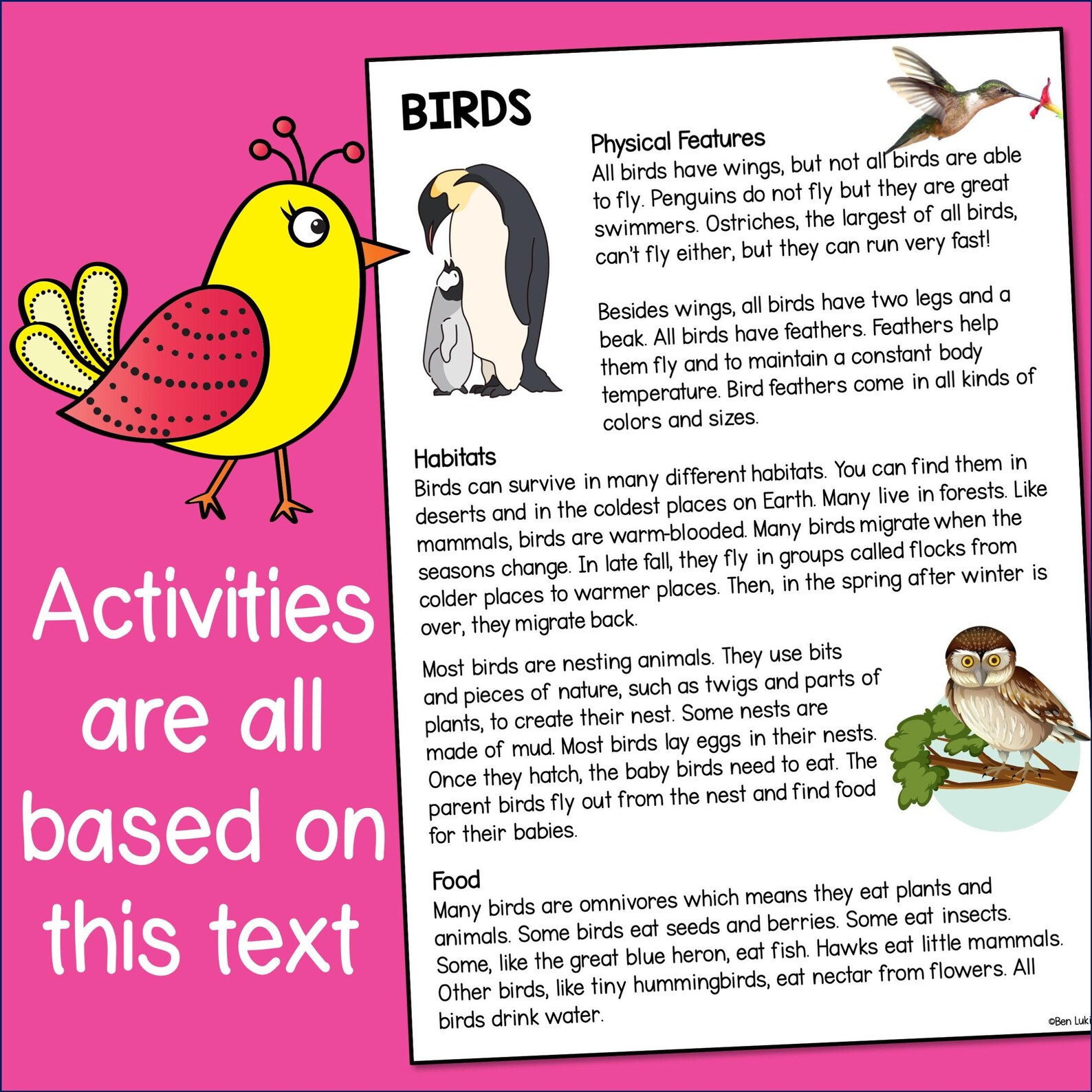 Birds Literacy Activities for A Week for 2nd Grade and 3rd Grade ...