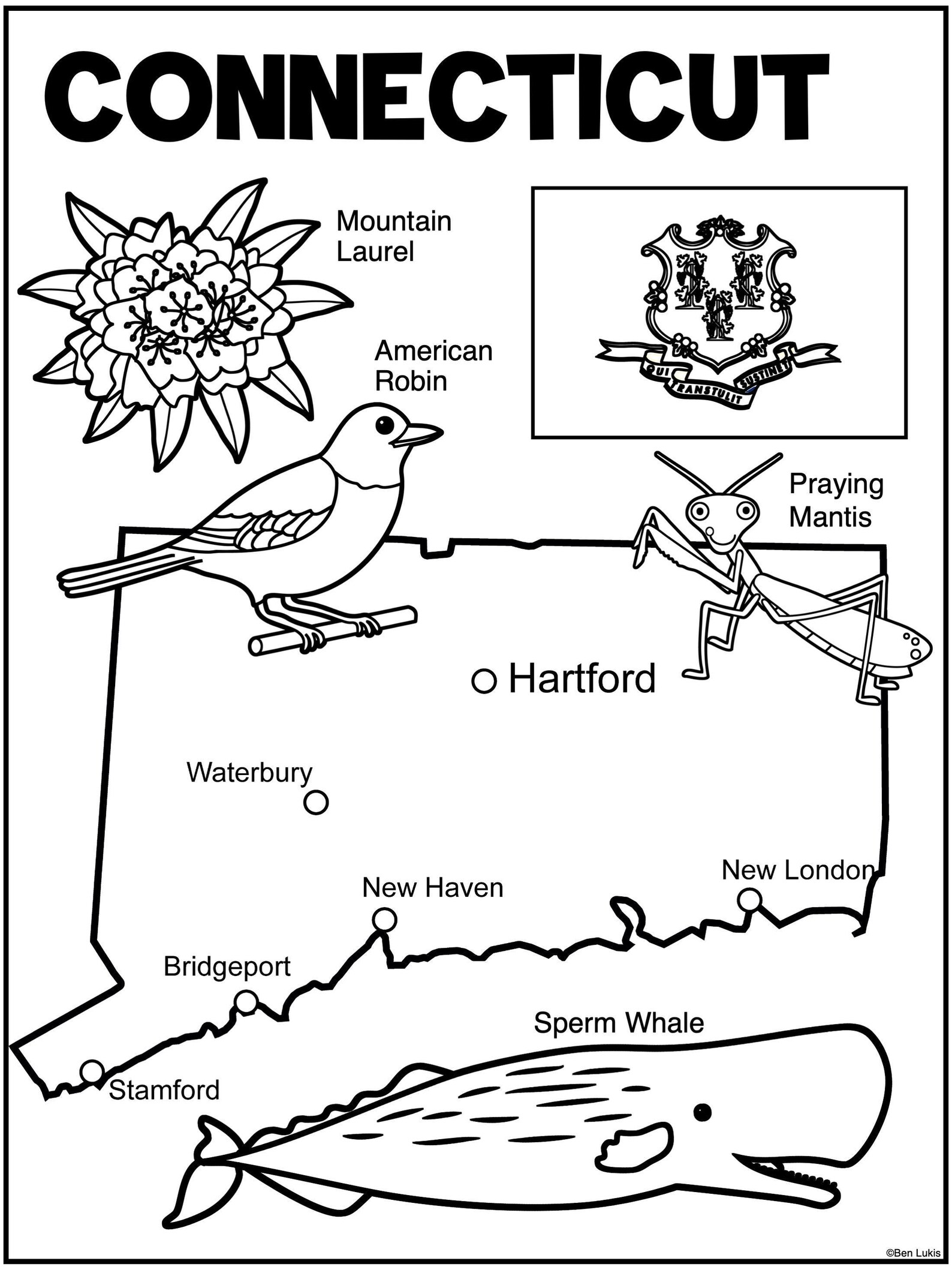 50 USA States Coloring Pages, US State Symbols and Flags, School ...