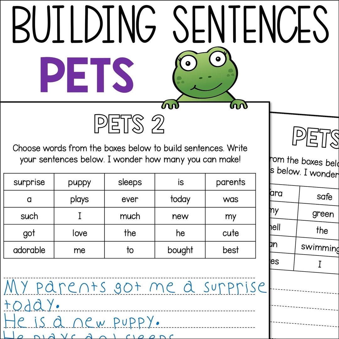 Building Sentences Using Words Writing Sentences About Pets - Etsy