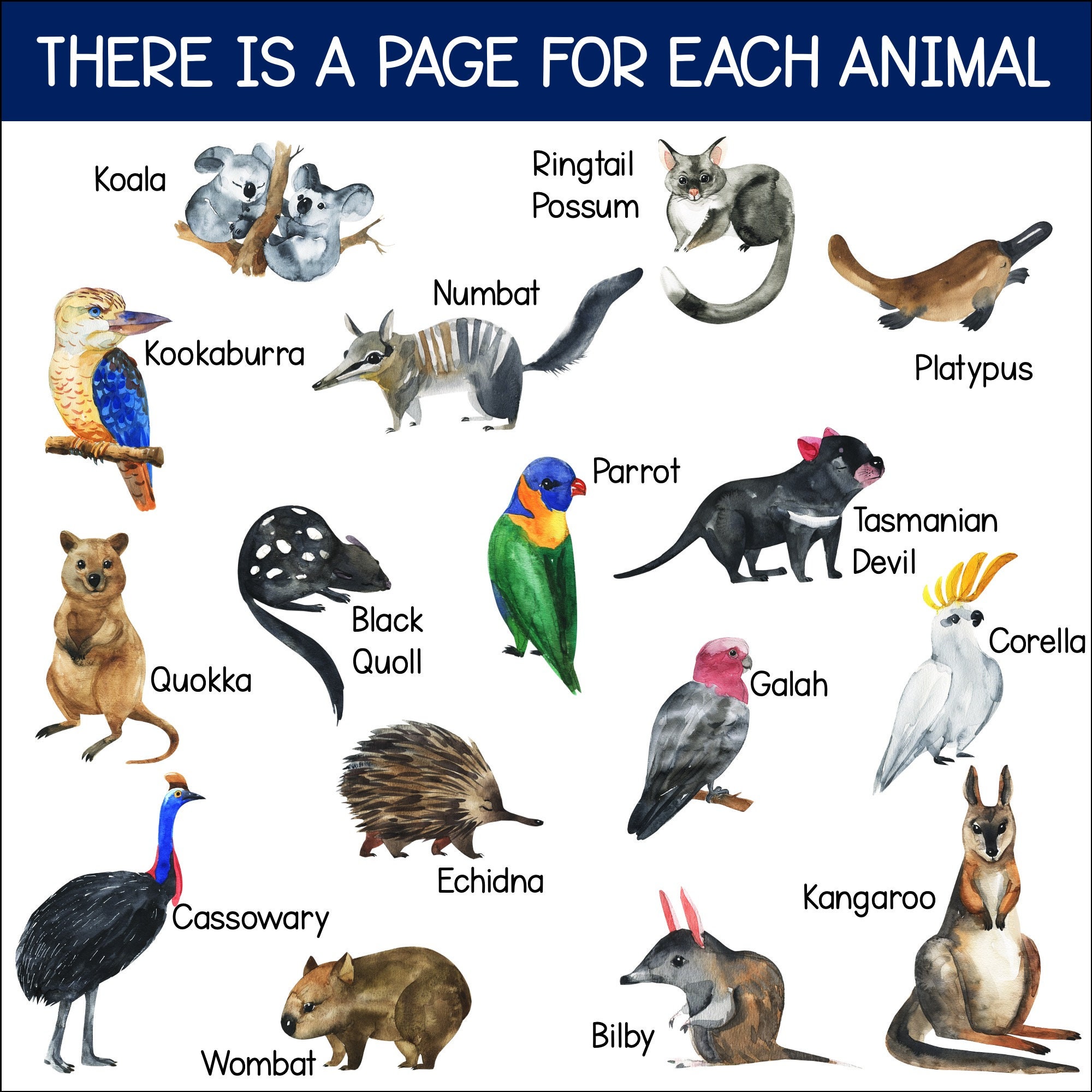 Australian Animals Research Report Templates for Kids, Printable PDF ...