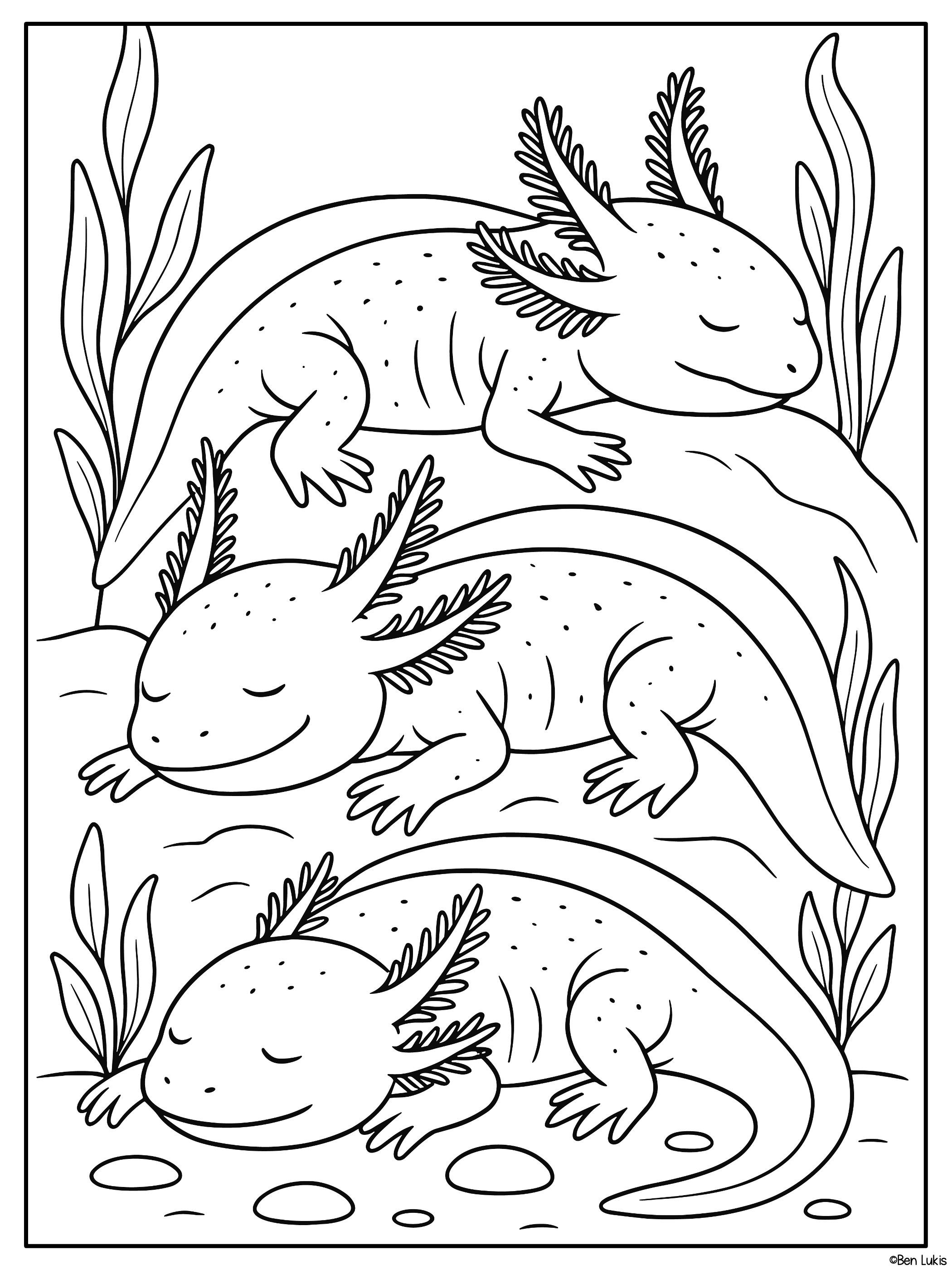 Axolotl Coloring Book Digital Download, Kids Printable Coloring Pages ...