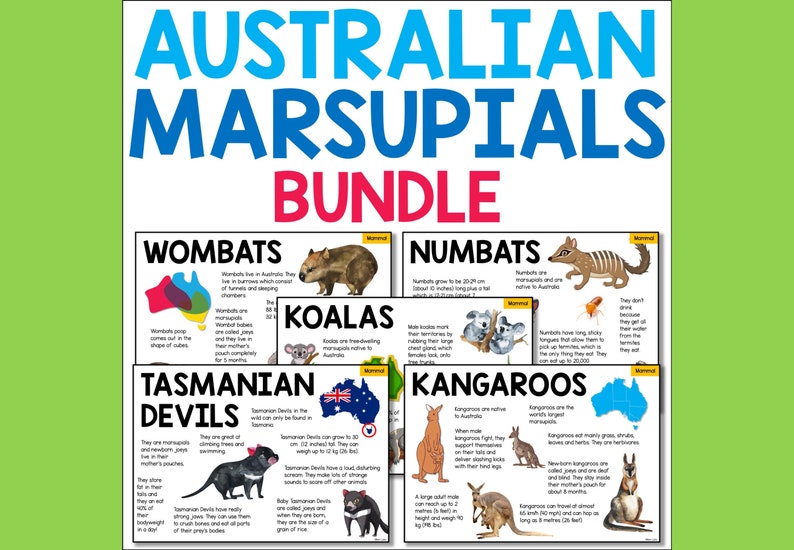 Australian Marsupial Information Text Reading Passages Animal Facts ...