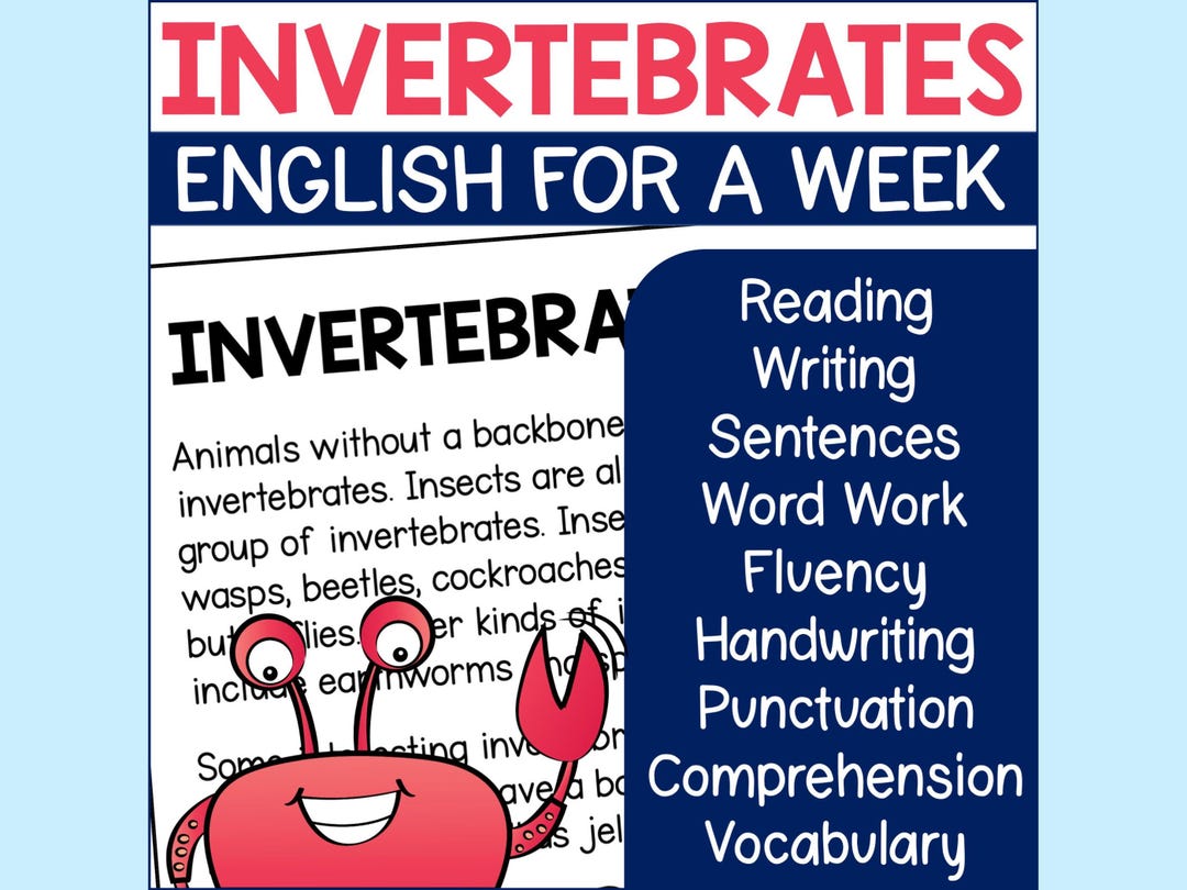Invertebrates ELA Activities, 2nd-3rd Grade, Homeschool Printable (PDF ...