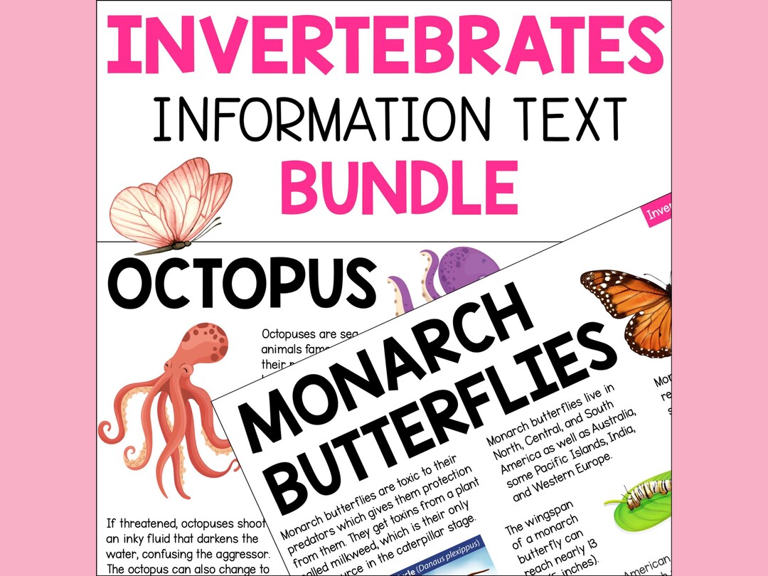 Invertebrates Information Fact Sheets for Kids, Animal Reading Passages ...