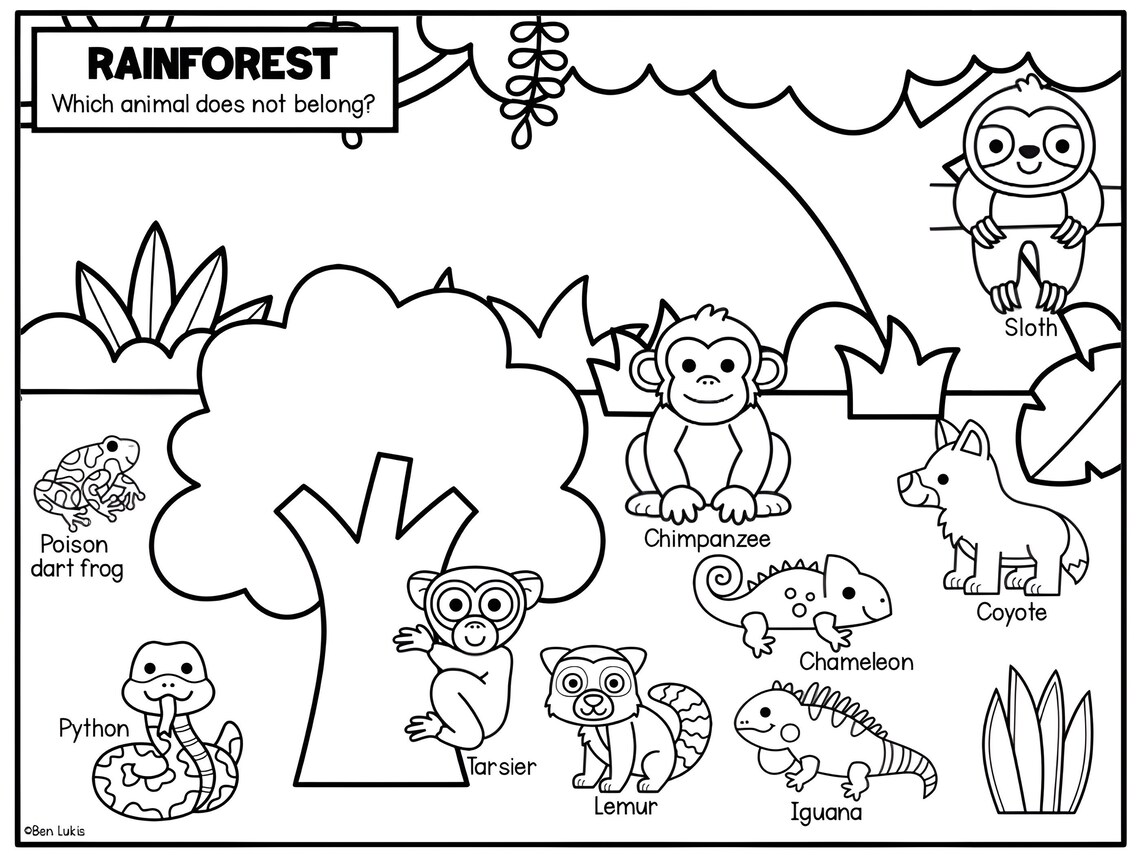 Animal Habitats Matching Activity and Odd One Out Worksheets, Animal ...