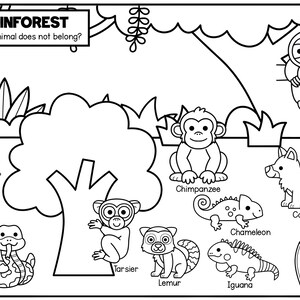 Animal Habitats Matching Activity and Odd One Out Worksheets, Animal ...