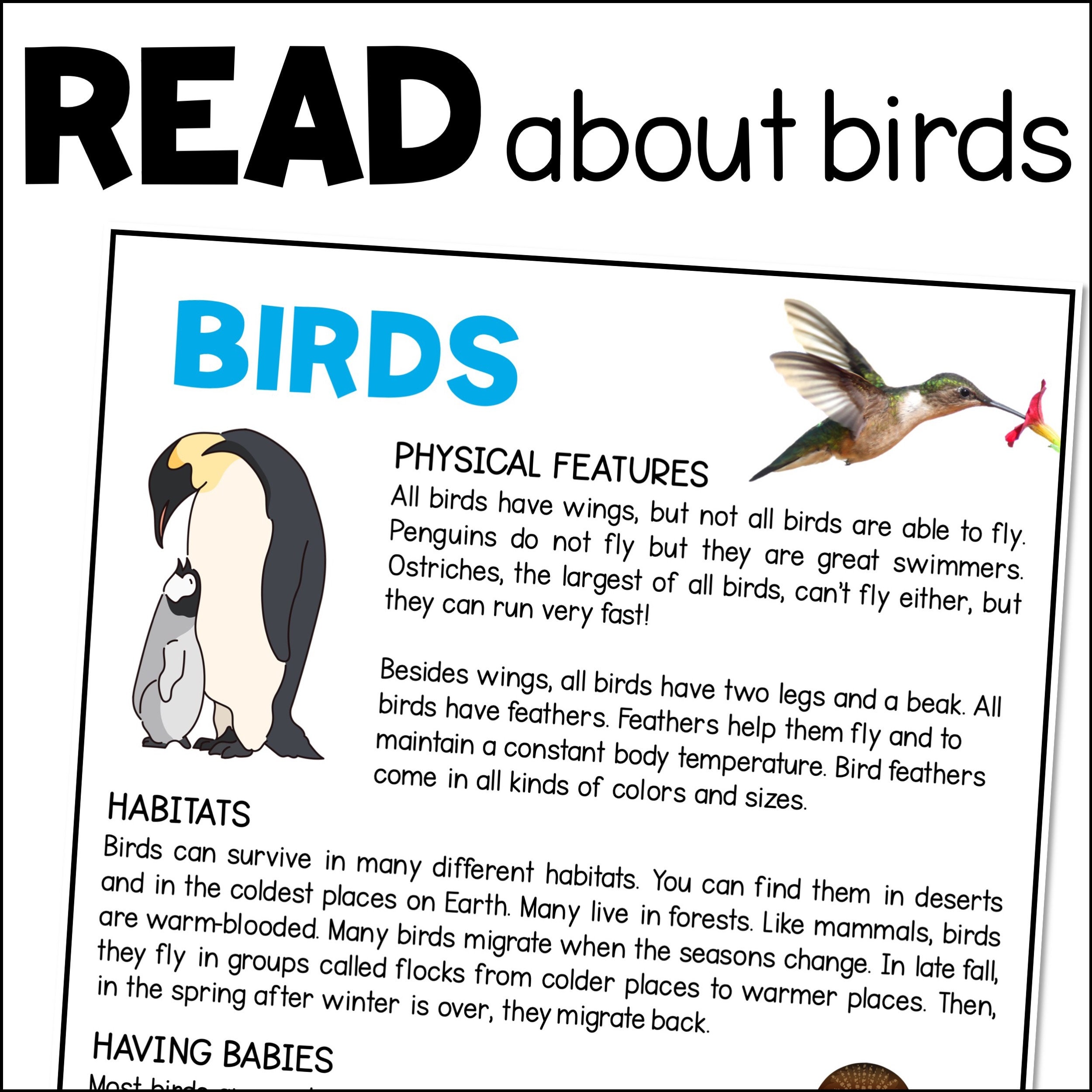 Escape Room Game for Kids, Printable Bird Themed Puzzle Activity ...