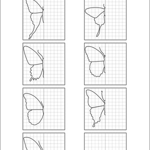 Symmetry Drawing of Butterflies, Art and Math Worksheets, Butterfly ...
