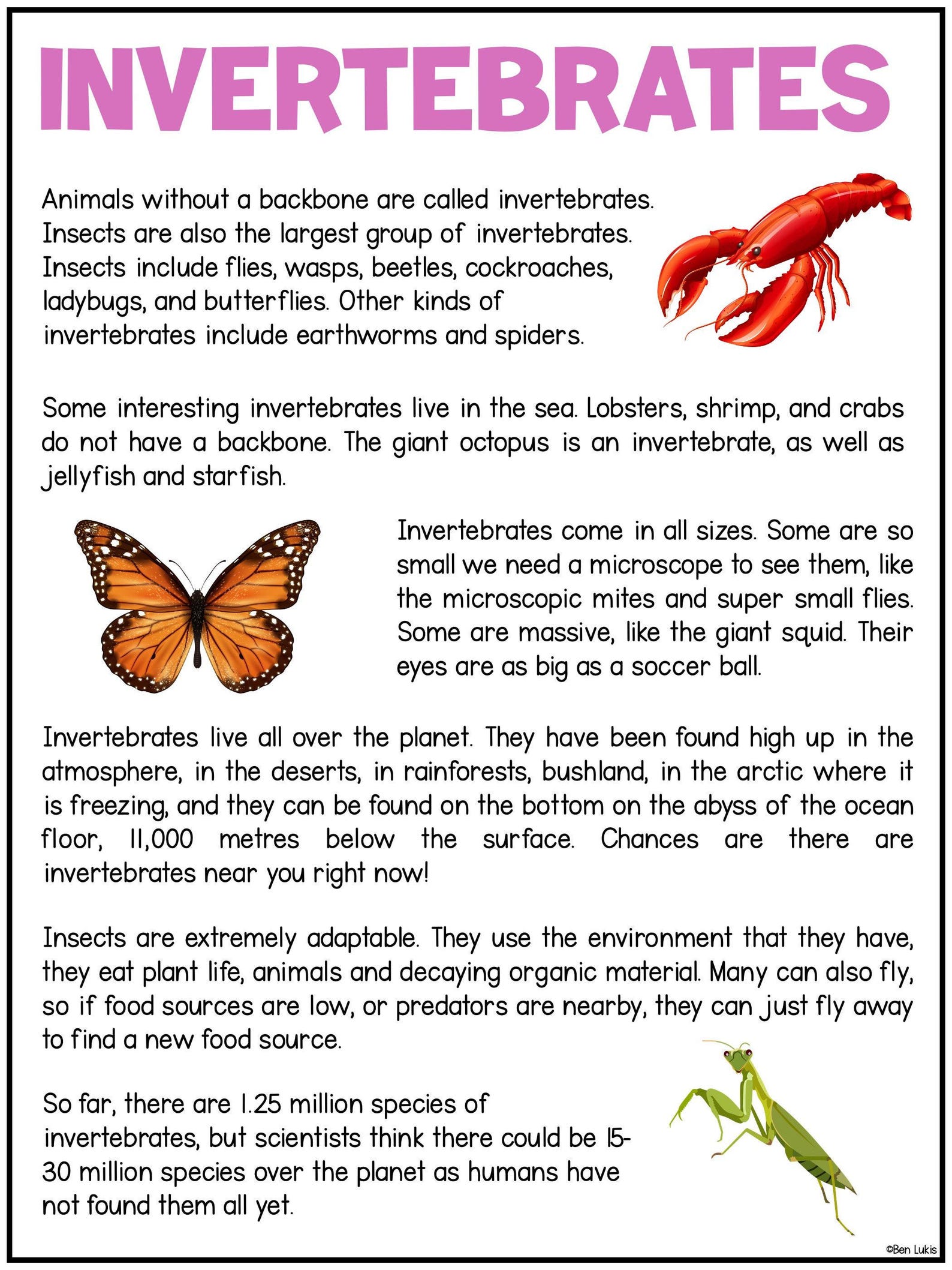 Invertebrates Escape Room for Kids, Educational Game Printable PDF ...