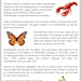 Invertebrates Escape Room for Kids, Educational Game Printable PDF ...