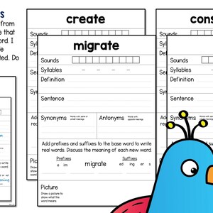 Birds Literacy Activities for A Week for 2nd Grade and 3rd Grade ...