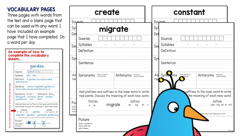 Birds Literacy Activities for A Week for 2nd Grade and 3rd Grade ...