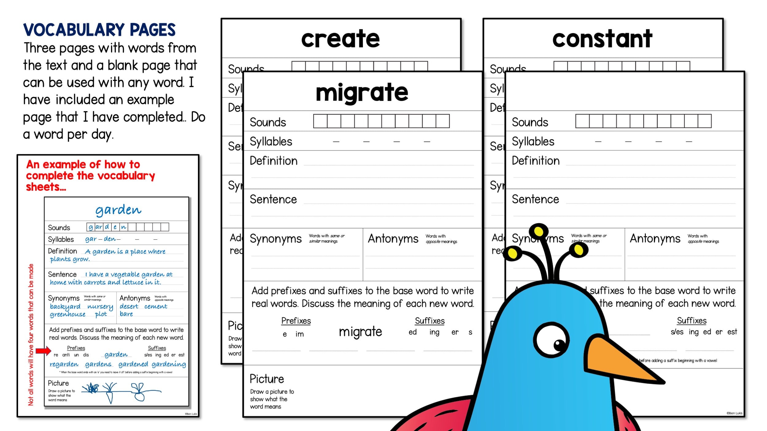 Birds Literacy Activities for A Week for 2nd Grade and 3rd Grade ...