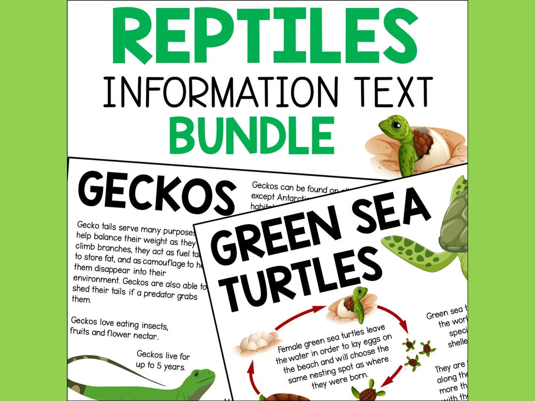 Reptile Information Fact Sheets for Kids, Reading Passages Fun Facts ...
