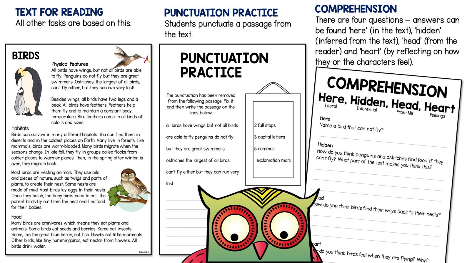 Birds Literacy Activities for A Week for 2nd Grade and 3rd Grade ...