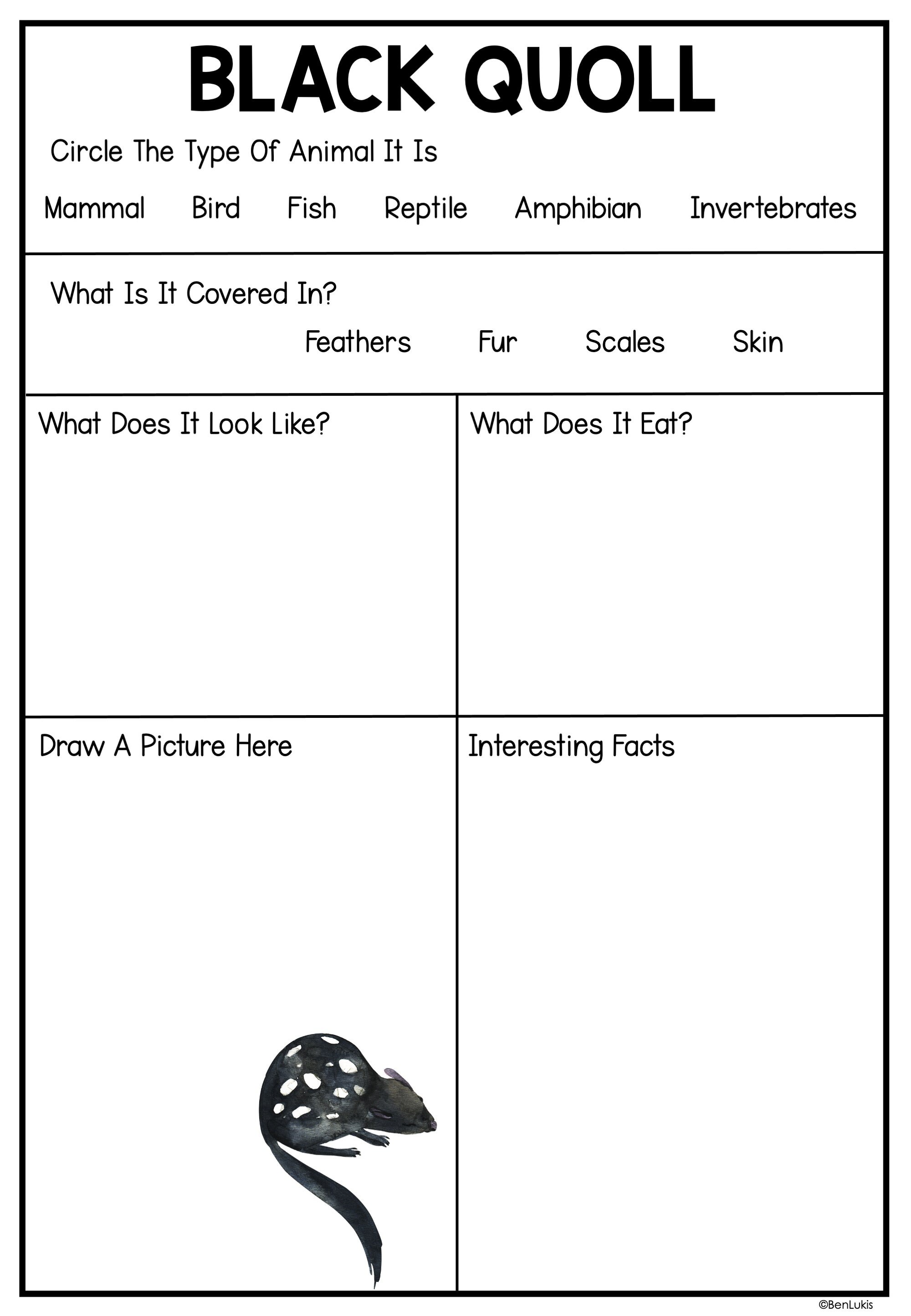 Australian Animals Research Report Templates for Kids, Printable PDF ...