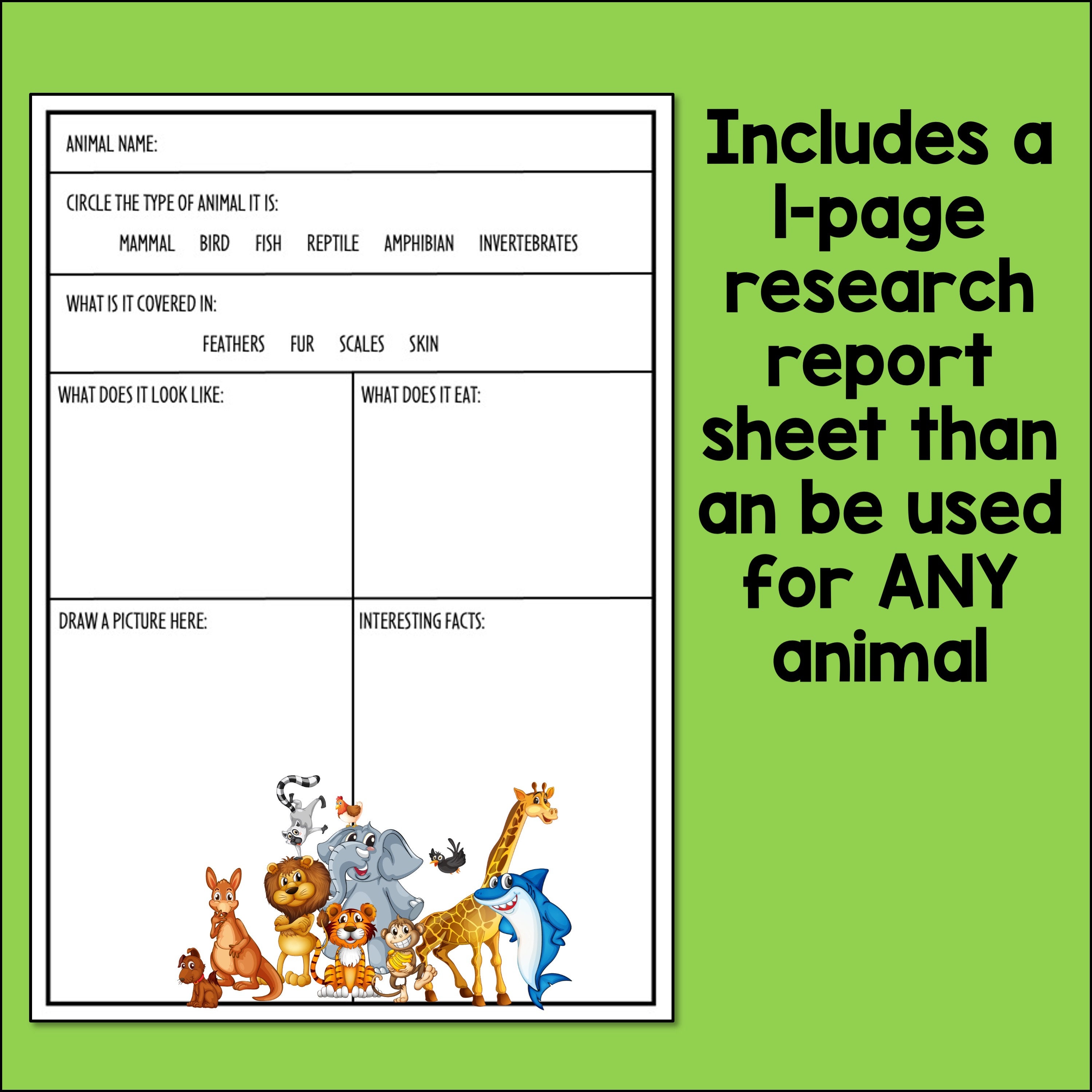 Toys Toys & Games Learning & School Classifying Animals Research ...