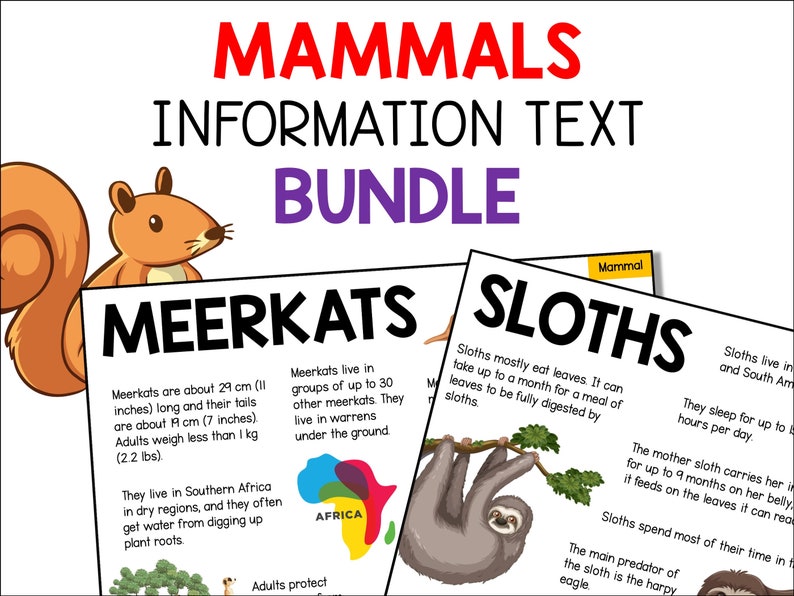Mammal Information Reading Passages, Mammals Fun Facts, Animal Research ...