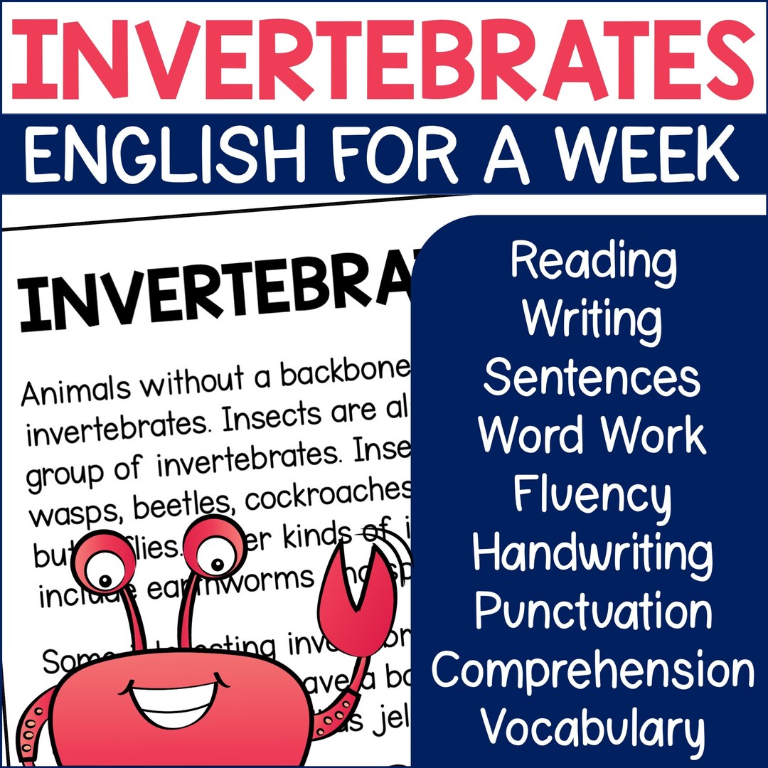 Invertebrates Literacy Activities for A Week, Reading Writing and More ...