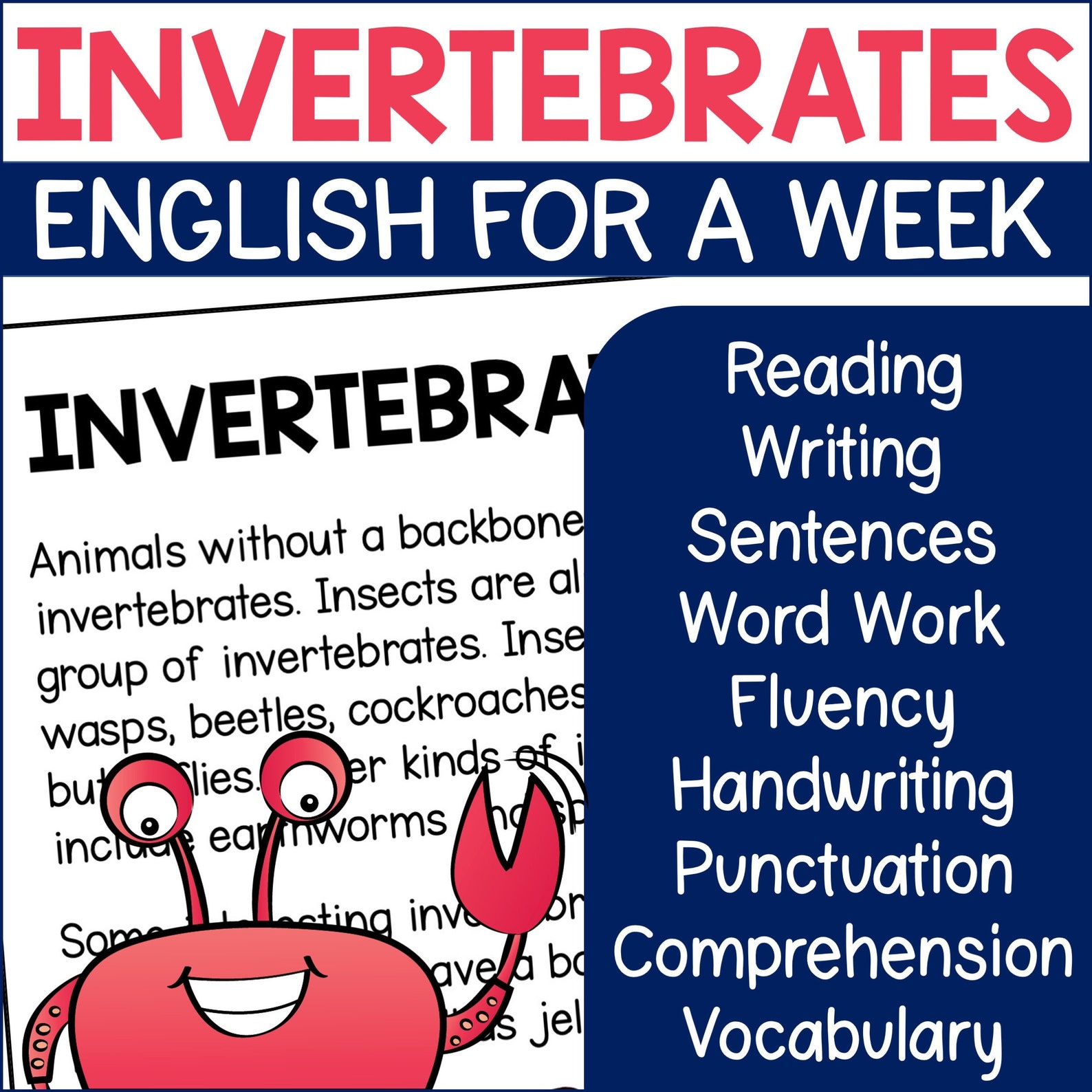 Invertebrates Literacy Activities for A Week, Reading Writing and More ...