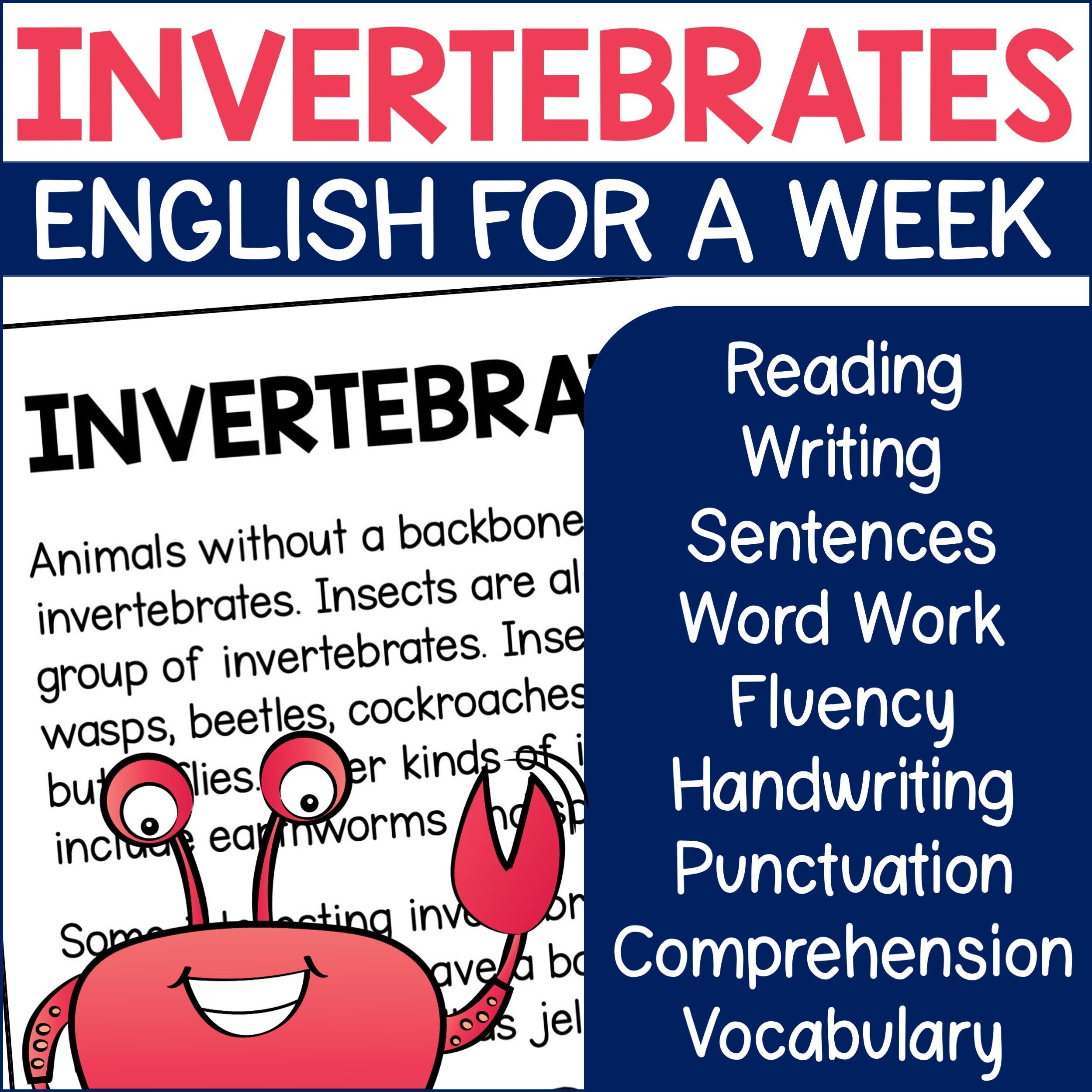 Invertebrates Literacy Activities for A Week, Reading Writing and More ...