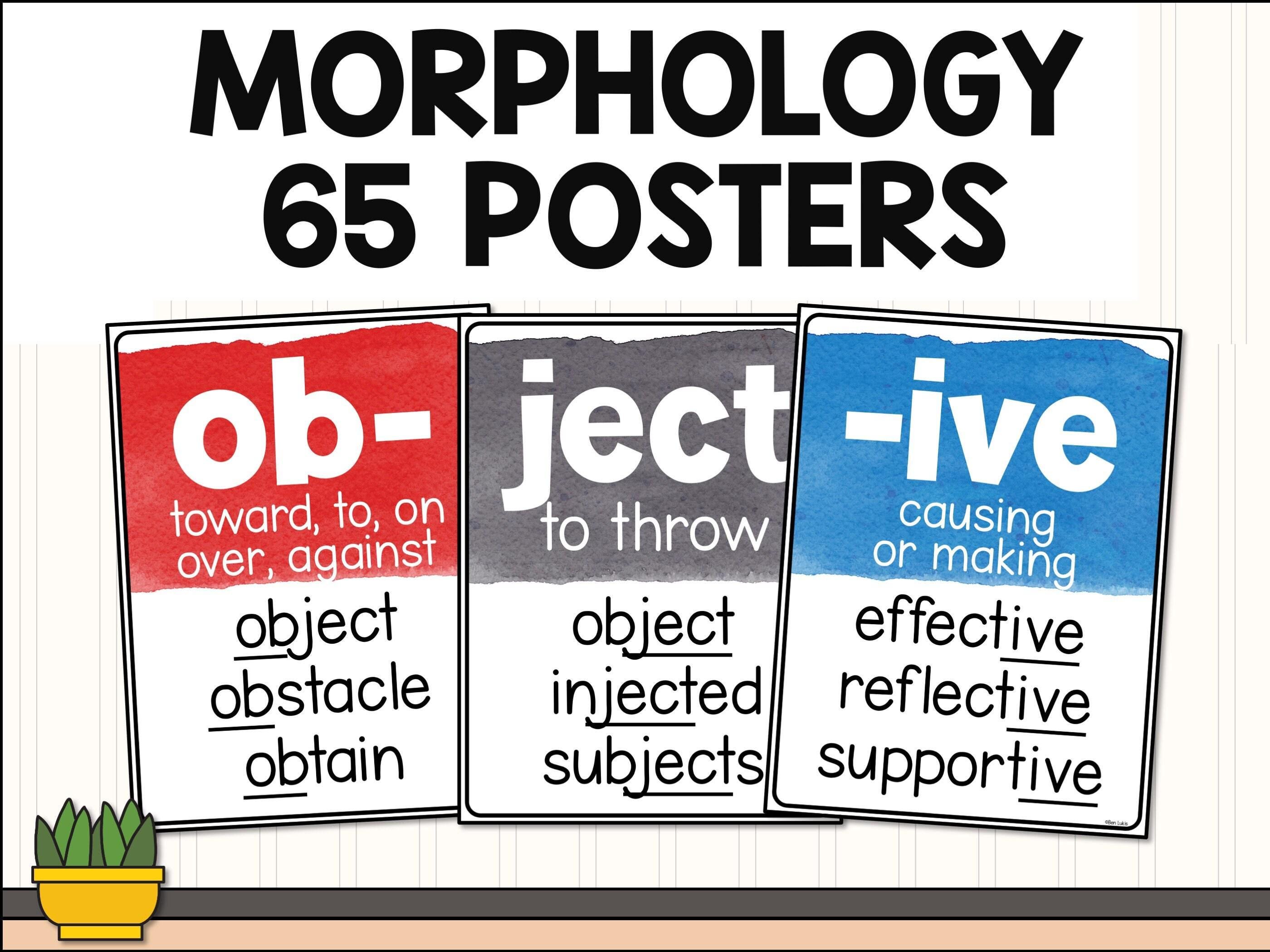 Prefix, Suffix & Word Root Educational Posters, Morphology Visuals for ...