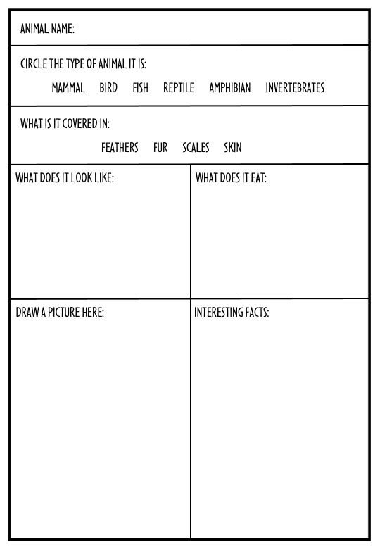 Toys Toys & Games Learning & School Classifying Animals Research ...