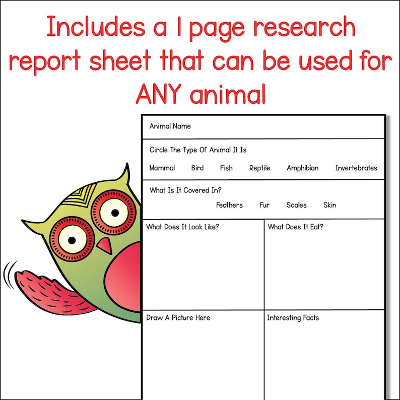 Animal Research Report Templates for Any Animal - Animal Types, Facts ...