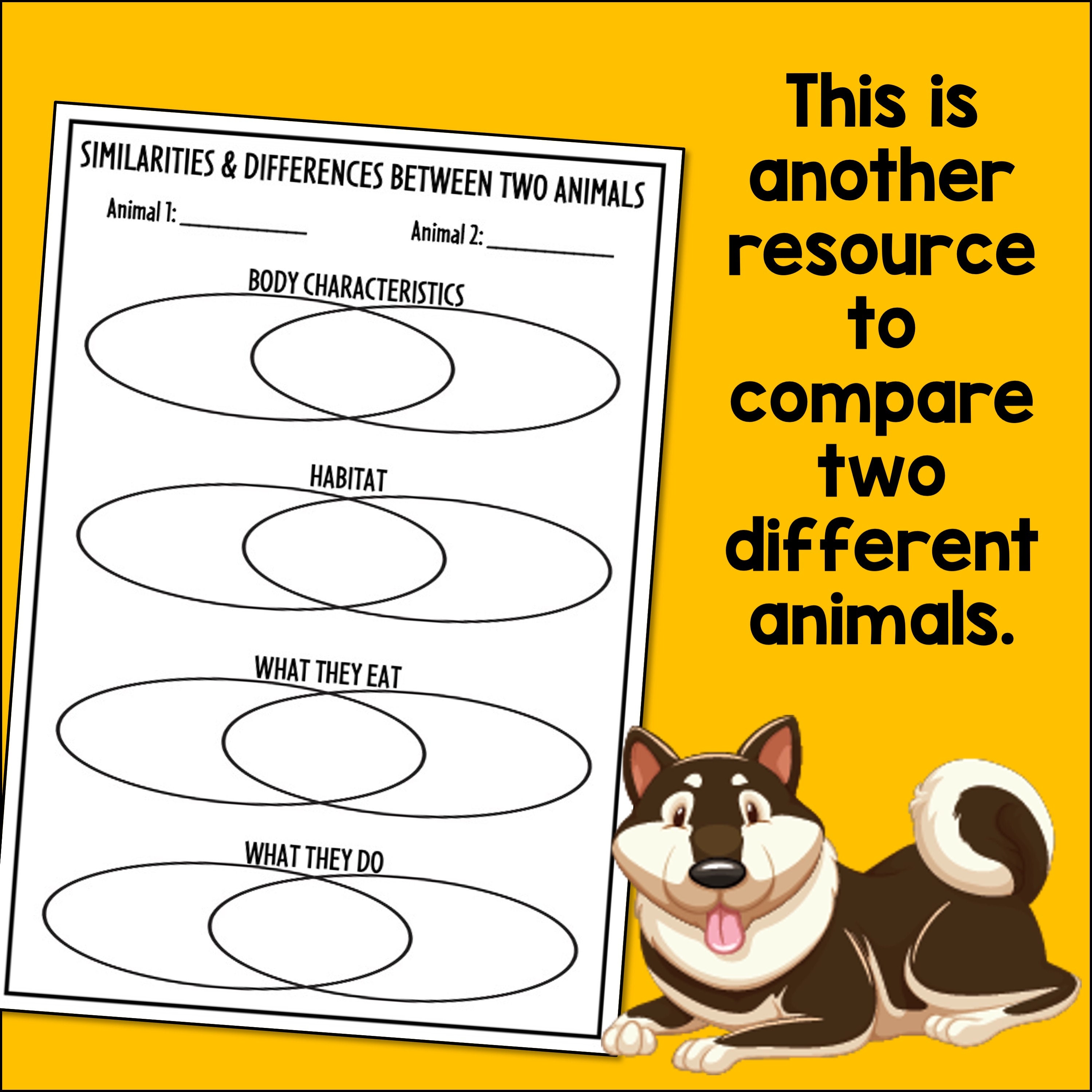 Toys Toys & Games Learning & School Classifying Animals Research ...