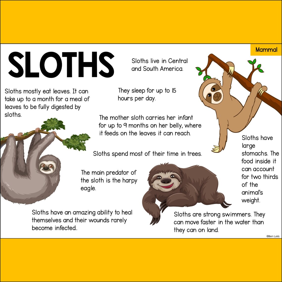 Mammal Information Reading Passages, Mammals Fun Facts, Animal Research ...