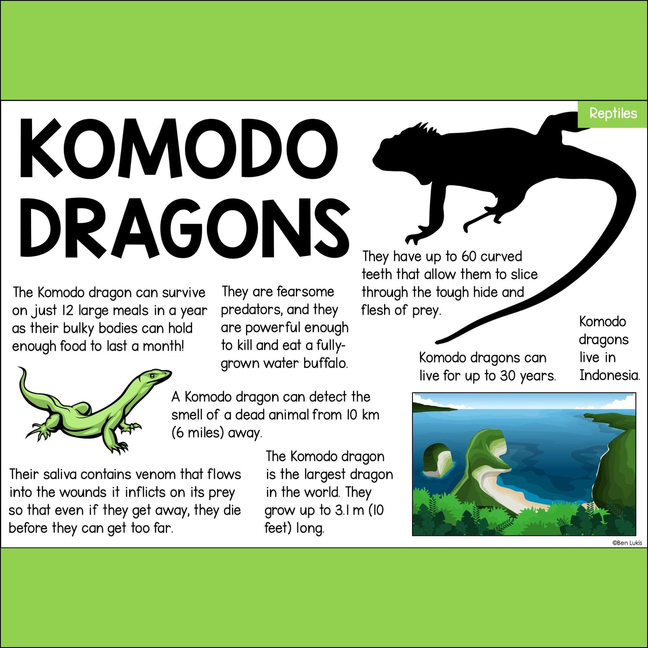 Reptile Fact Sheets, Reading Passages, Grades 1-3 (printable PDF) - Etsy